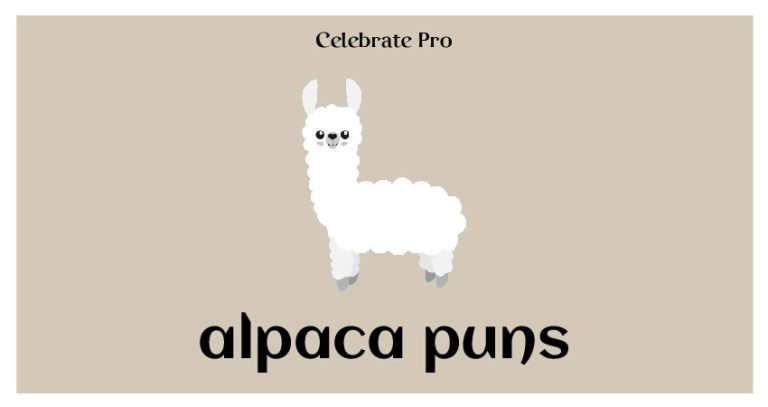 101+ Adorable Alpaca Puns to Make You Smile | Celebrate Pro