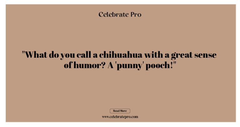 117+ Chihuahua Puns Ideas A Fantastic Play on Words