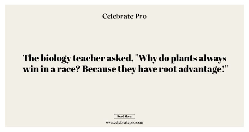 99+ School Puns That'll Make You Laugh All the Way to Graduation